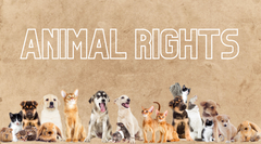 What to Know About Animal Rights Day - Natural Farm