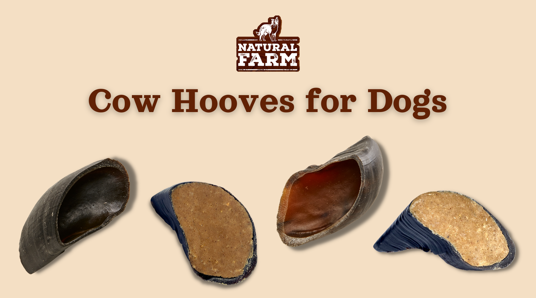 Give Your Dog Cow Hooves? Learn About Hoof Dog Chews