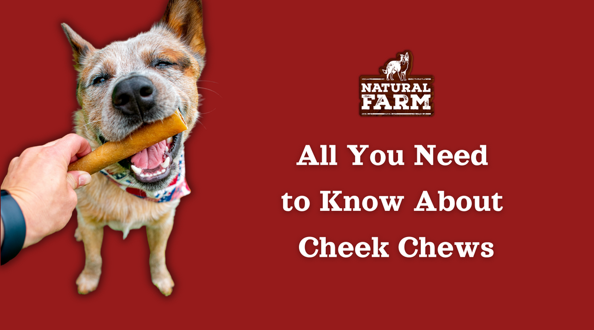 All You Need to Know About Cheek Chews