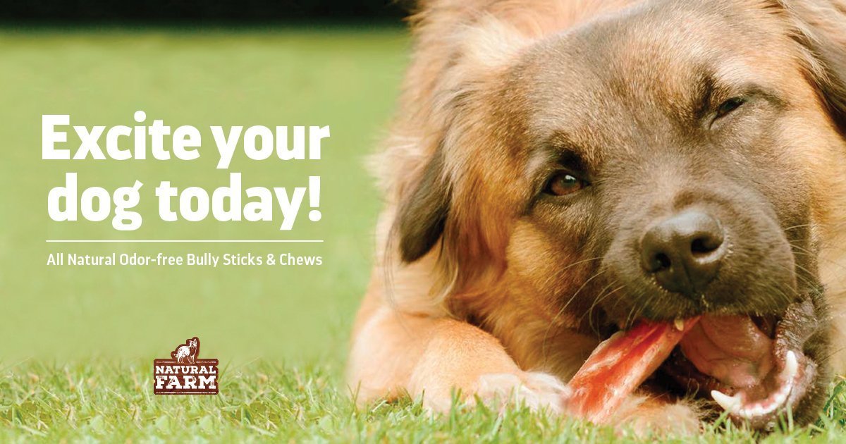 Natural Farm Dog Food: Explore all options